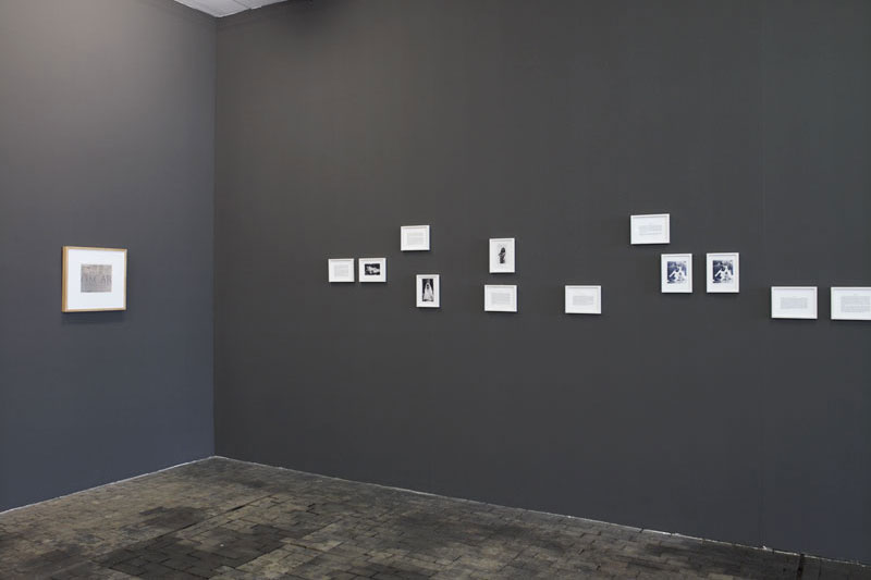 Pauline Boudry / Renate Lorenz: Salomania (2009)